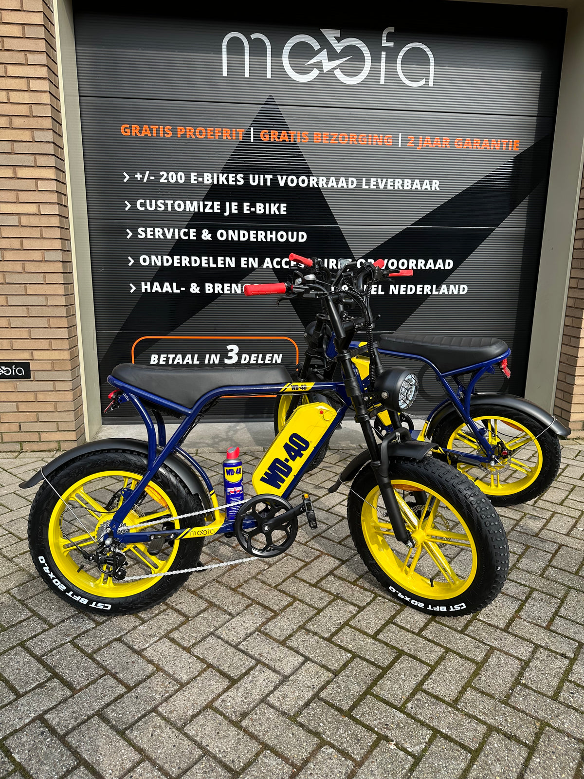 De Beste Fatbikes kopen bij Moofa | Experience the E-future